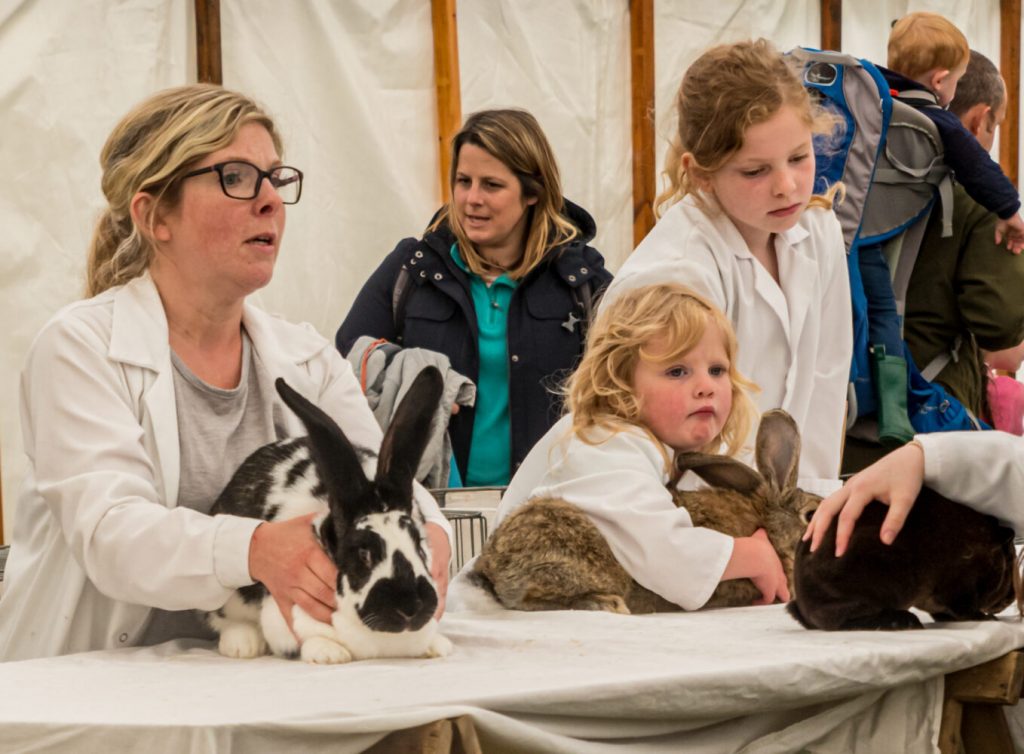exhibitors - Northumberland County Show