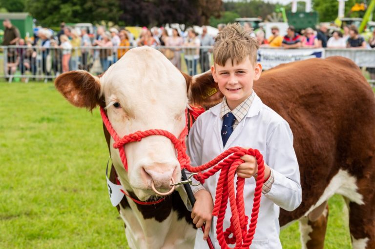 exhibitors-cattle - Northumberland County Show